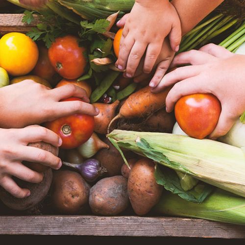 2025 Agriculture Choice Gas | Vista Energy Marketing